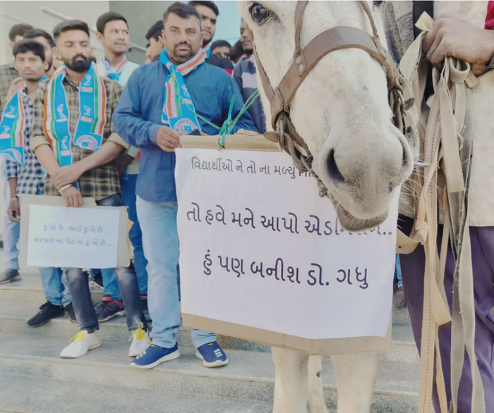 Atleast consider donkey to PhD admission NSUI protest in Kutchh ...